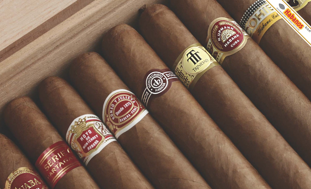 New in Cigars: Discover the Latest Arrivals – La Casa Del Habano